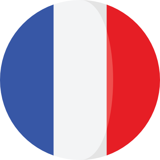 Random France Address Generator | French Fake Address | Toolkk